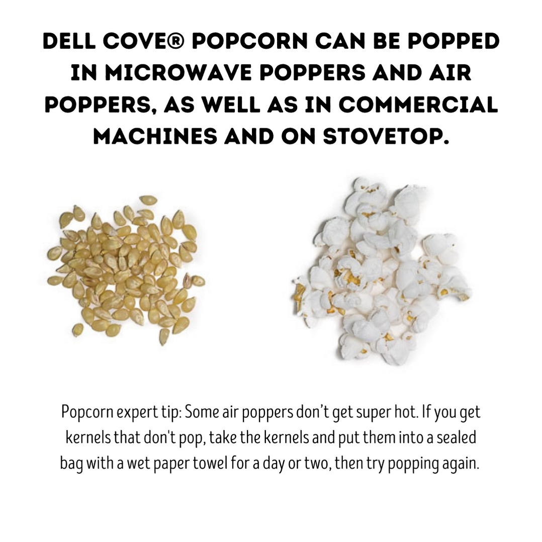 Baby White Popcorn - White Corn Kernels and Hulless Popcorn — Dell Cove ...